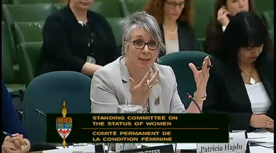 Hajdu Speaks To Standing Committee - Your Thunder Bay