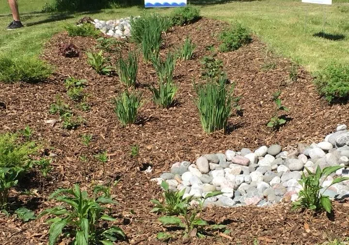 New Rain Garden Project Complete - Your ThunderBay