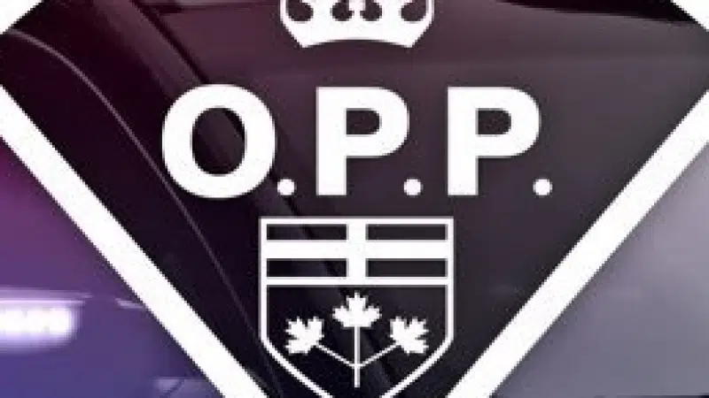 Operation Impact Results - Your ThunderBay