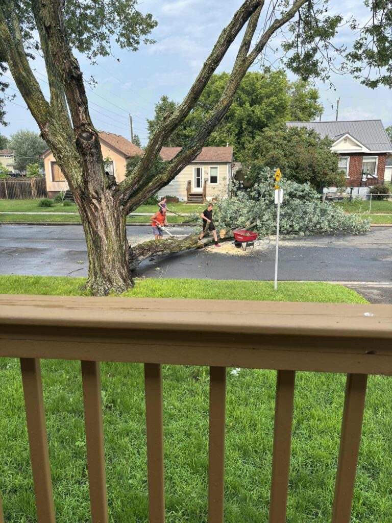 Canada Day Windstorm in the Bay: The Aftermath - Your ThunderBay