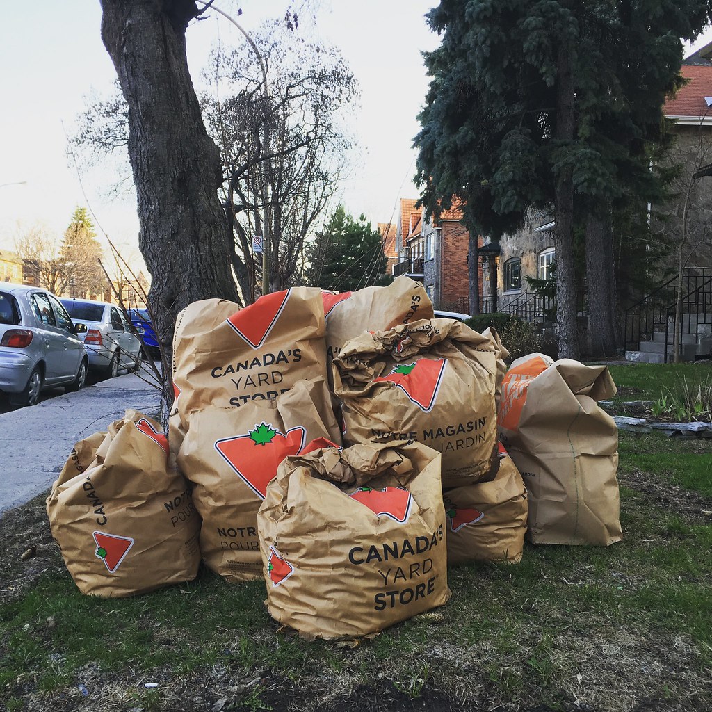 Thunder Bay’s second fall leaf and yard waste collection set to take ...