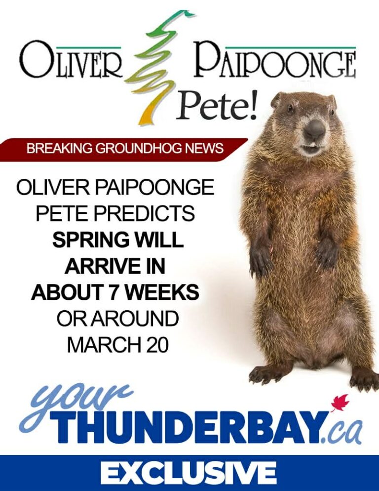 Groundhog Day in Canada: A Celebration of Shadows, Snow, and One Very ...