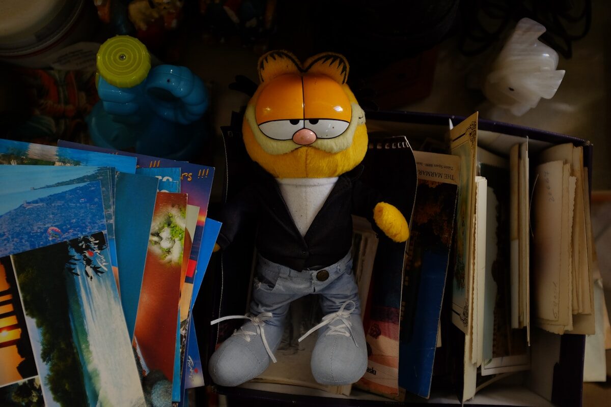 Garfield, and Tell Me Something Good - Your ThunderBay